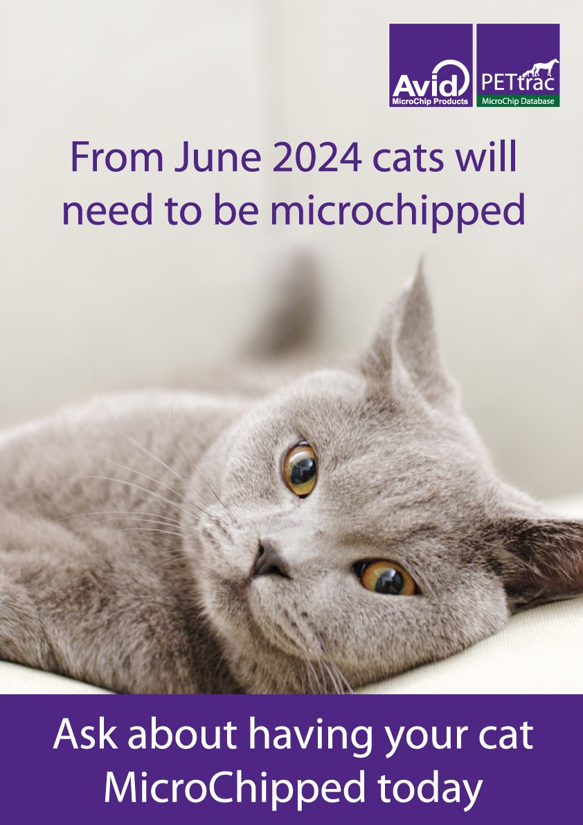 From June 2024 all cats need to be Microchipped - Barnhouse Veterinary ...